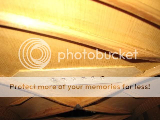 Bridge Plate Material - The Acoustic Guitar Forum