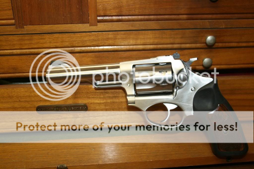 Ruger SP101 22 Front Sight Modification