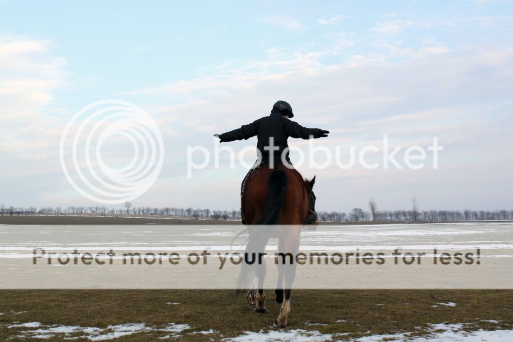Lidt nye billeder fra os - Opslag, billeder og video - Heste-Nettet.dk