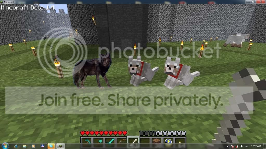 Wolves have a VERY small chance of spawning black! - Survival Mode ...